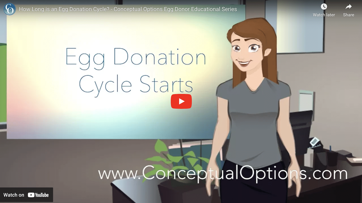 Become an Egg Donor and Help a Family | Conceptual Options